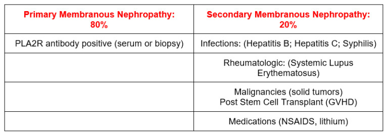 Membranous Nephropathy | BCNephro