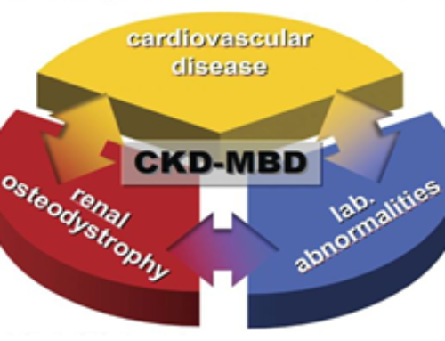 Dialysis Rounding Primer - Access: Catheter | BCNephro