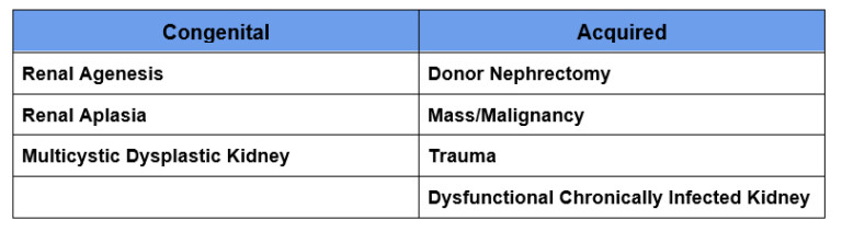 The Solitary Kidney: Living with One Kidney | BCNephro