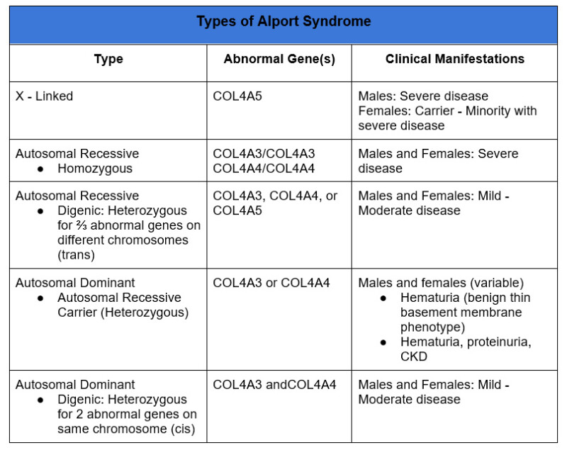 Alport Syndrome | BCNephro
