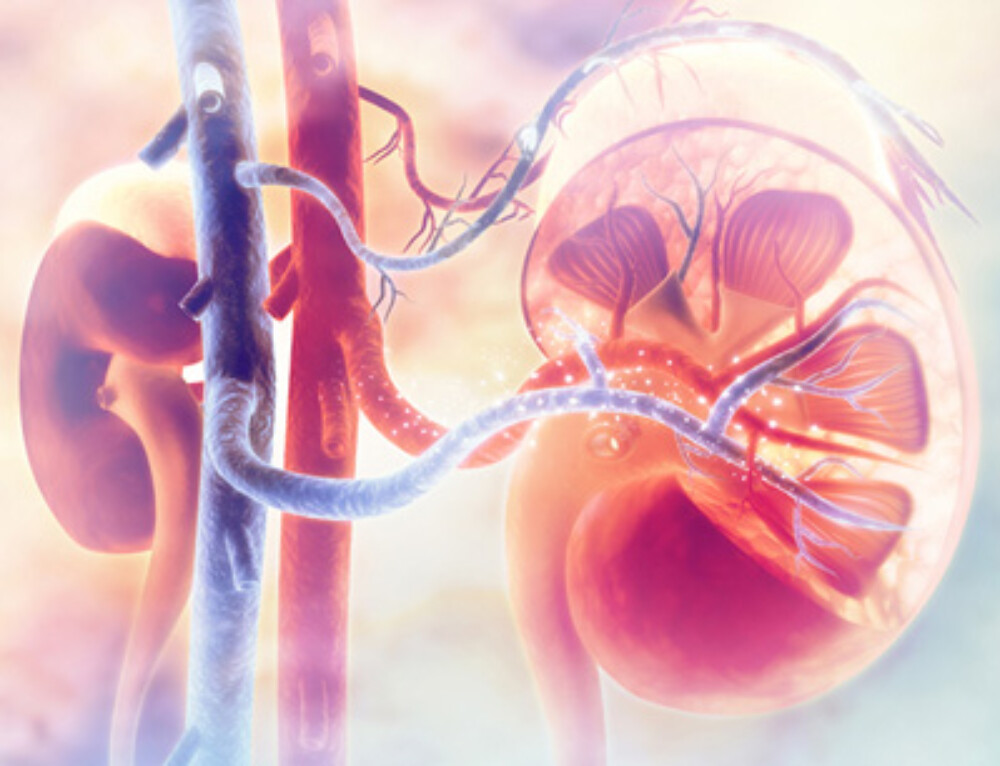 Renal Imaging - Nuclear Renal Scan | BCNephro